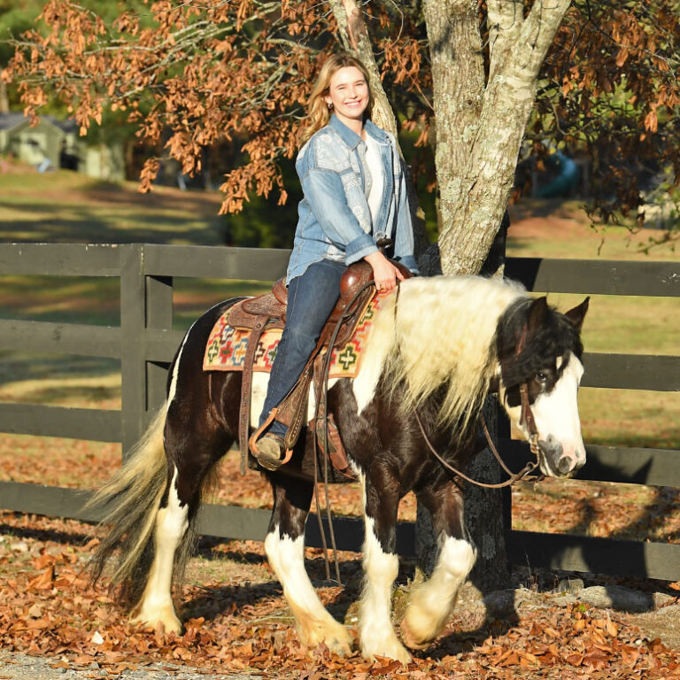 Ponies for Sale | Horse of My Dreams